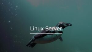 [Linux] yum-cronによるパッケージ自動更新 | ライトなSEブログ